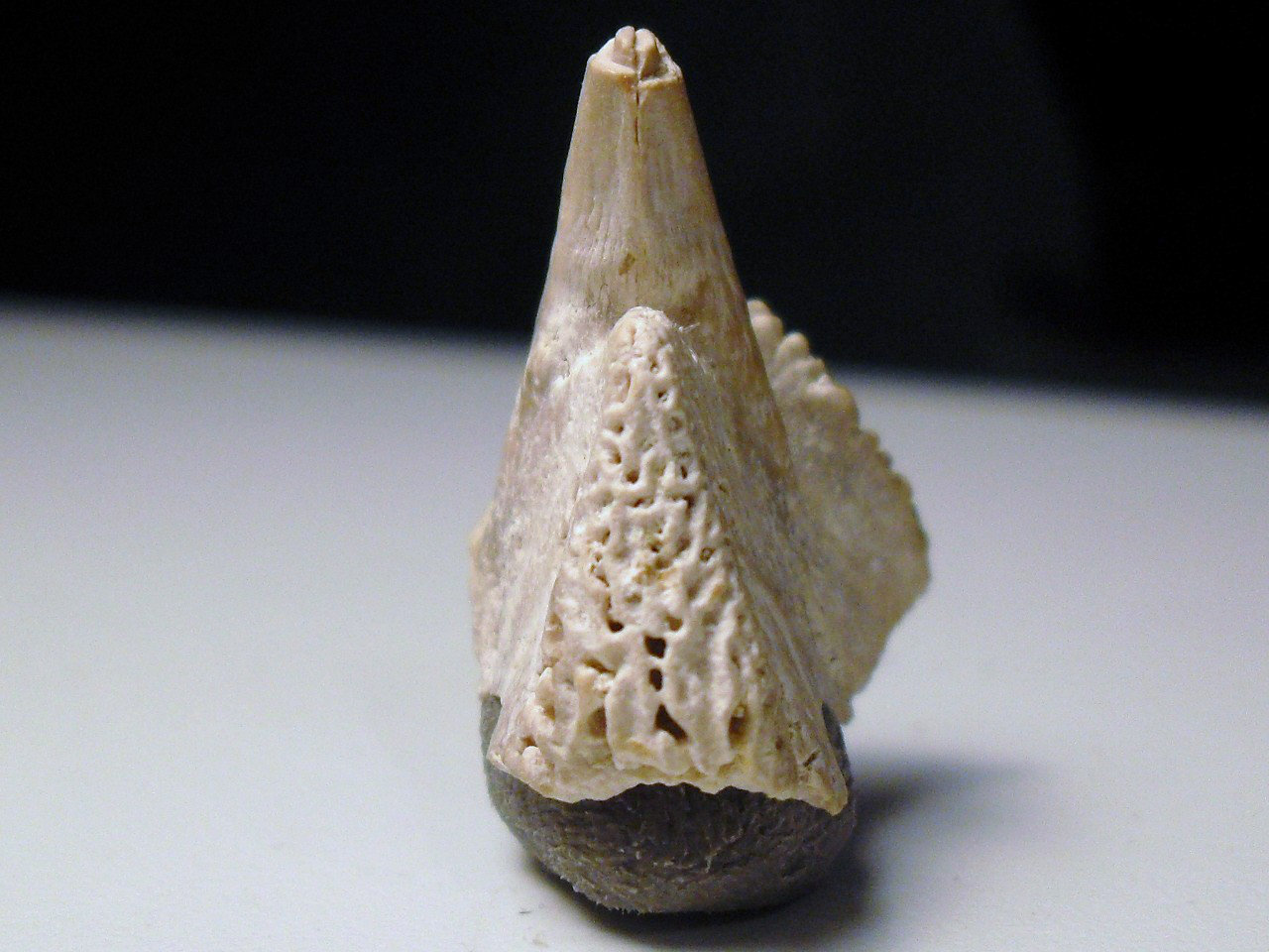 Le blog de floours 59