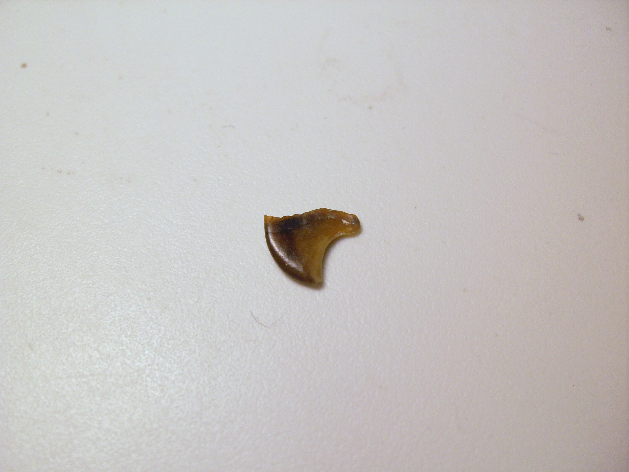 Le blog de floours 59