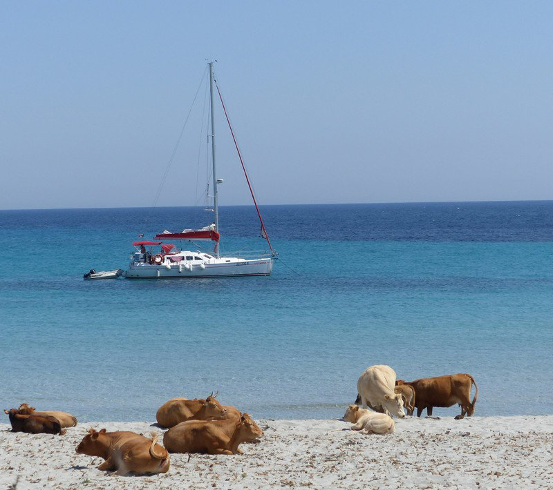 nue intégrale a la plage