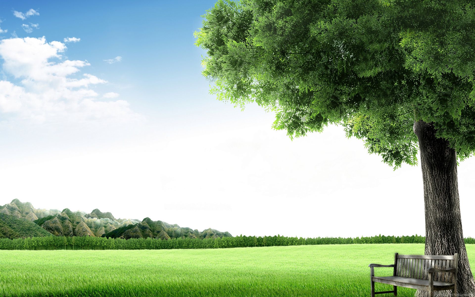 Magnifique arrière-plan bureau - Fonds d'écran HD gratuits