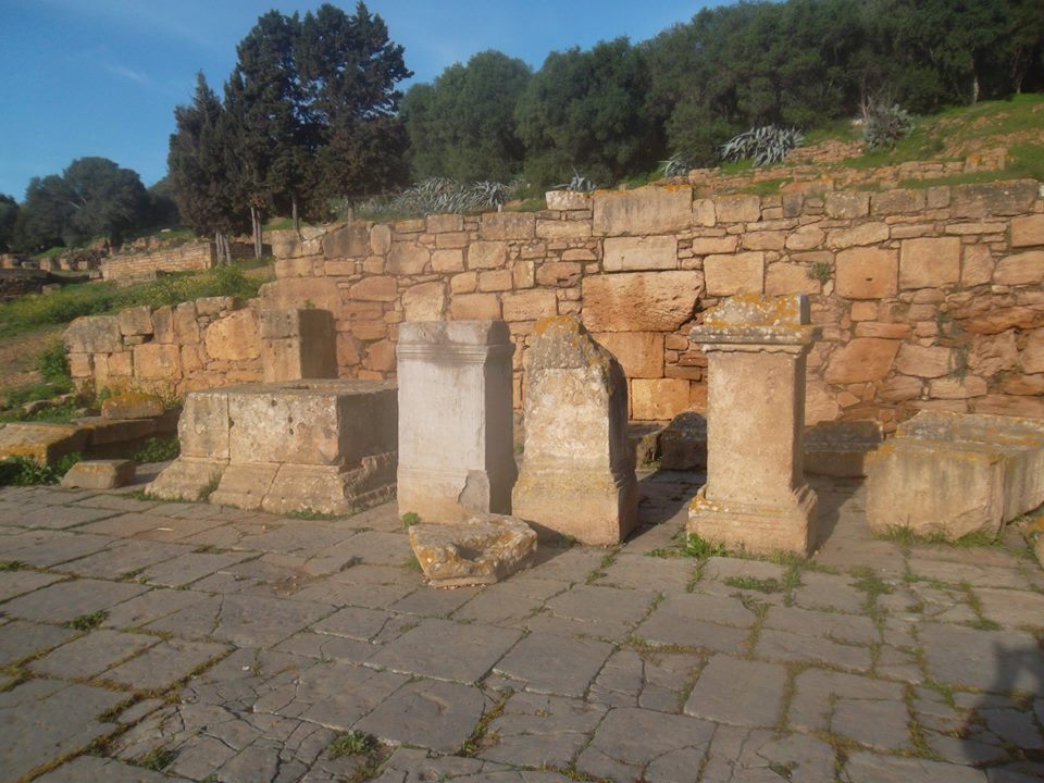 LES VESTIGES DE RUINES DU CHELLAH A RABAT.4/4.
