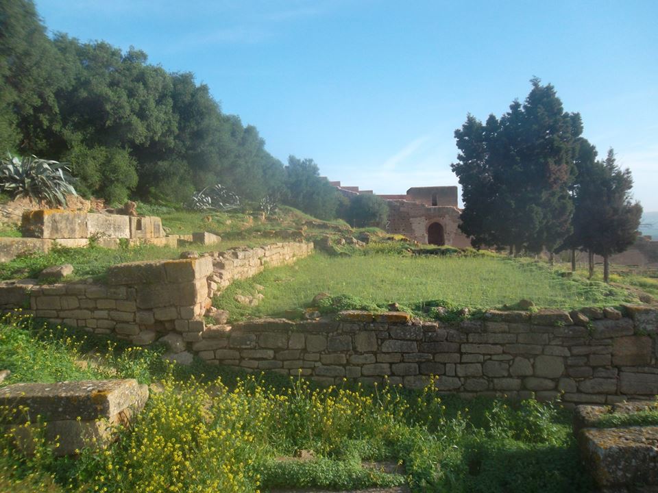 LES VESTIGES DE RUINES DU CHELLAH A RABAT.4/4.