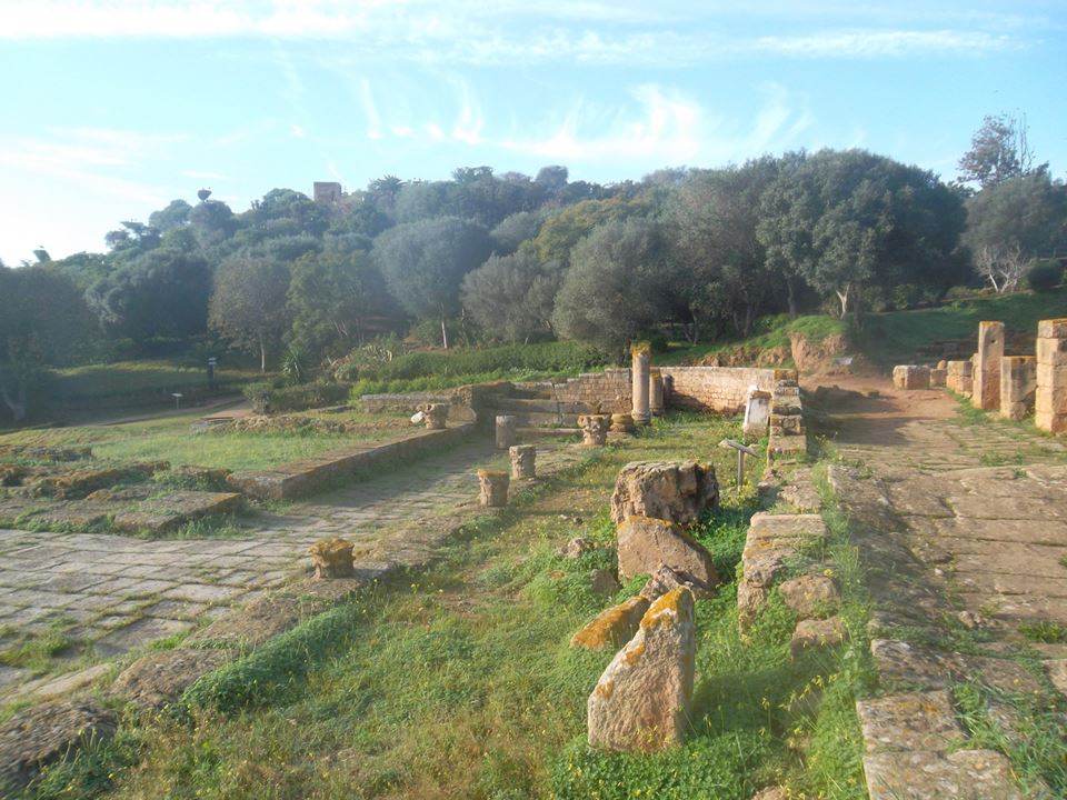 LES VESTIGES DE RUINES DU CHELLAH A RABAT.4/4.