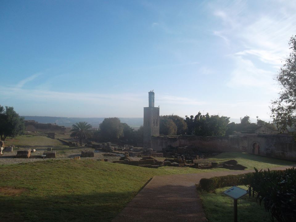 LES VESTIGES DE RUINES DU CHELLAH A RABAT.4/4.