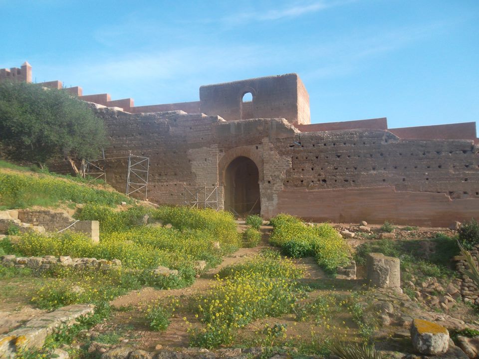 LES VESTIGES DE RUINES DU CHELLAH A RABAT.4/4.