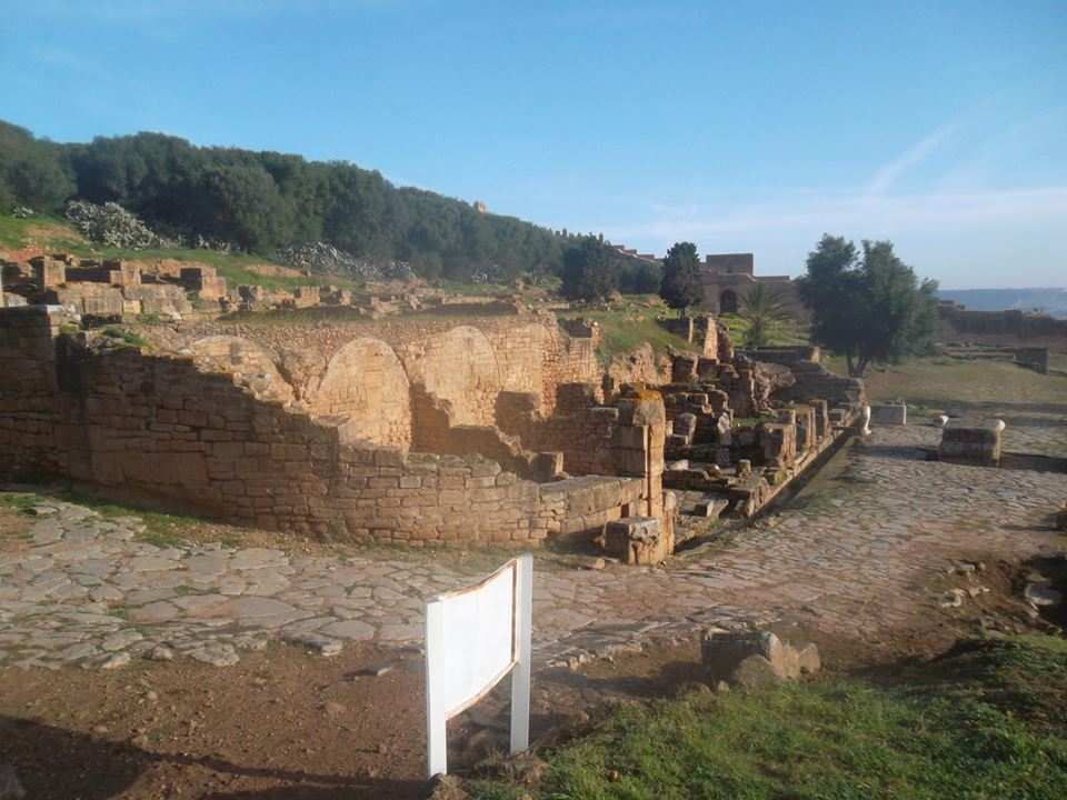 LES VESTIGES DE RUINES DU CHELLAH A RABAT.4/4.