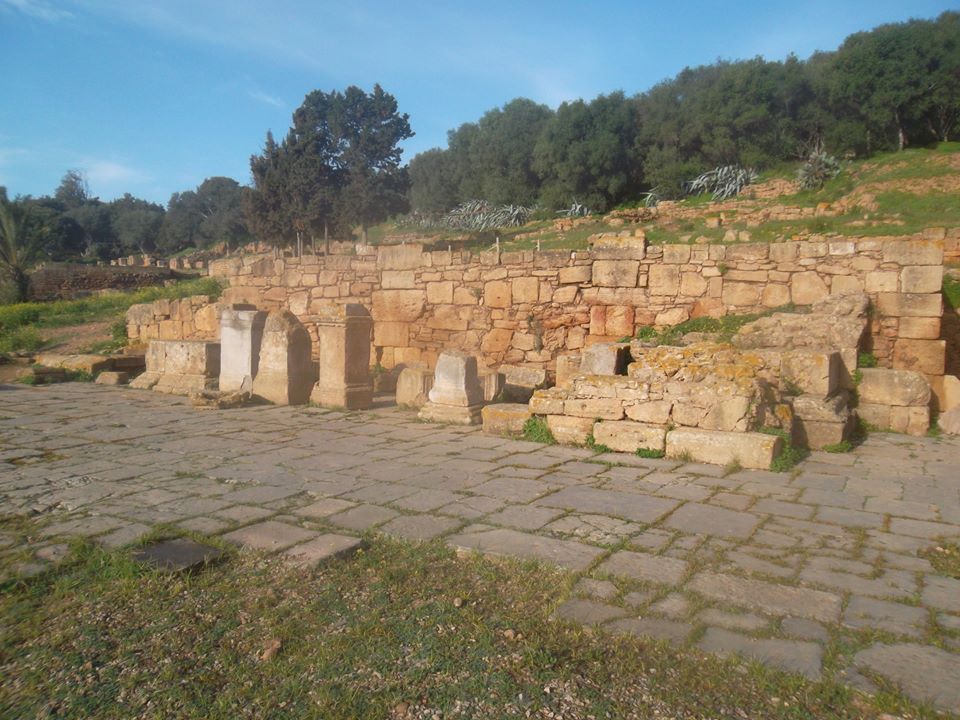 LES VESTIGES DE RUINES DU CHELLAH A RABAT.4/4.