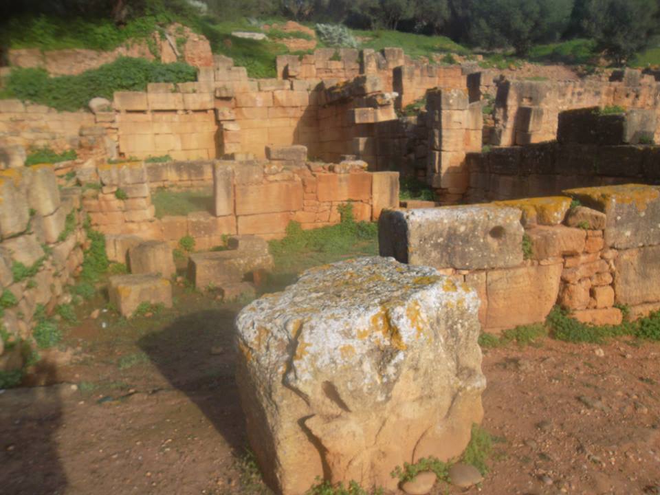 LES VESTIGES DE RUINES DU CHELLAH A RABAT.4/4.