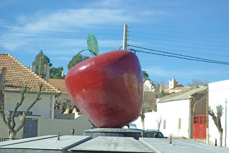LA POMME DE MIDELT.