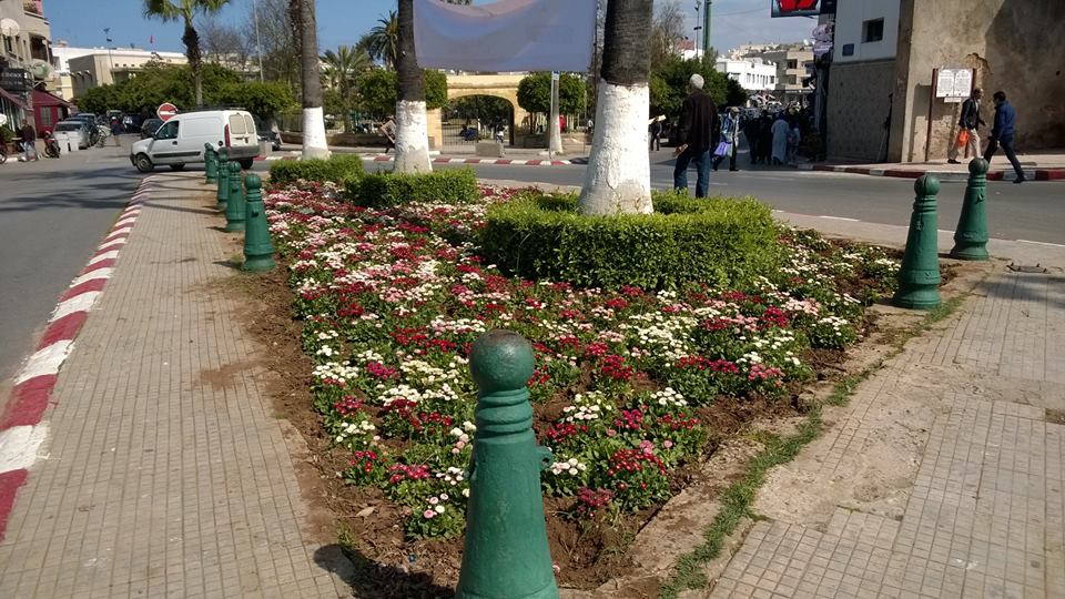 VILLE DE SALE. PROMENADE DANS LA VILLE.3/3.