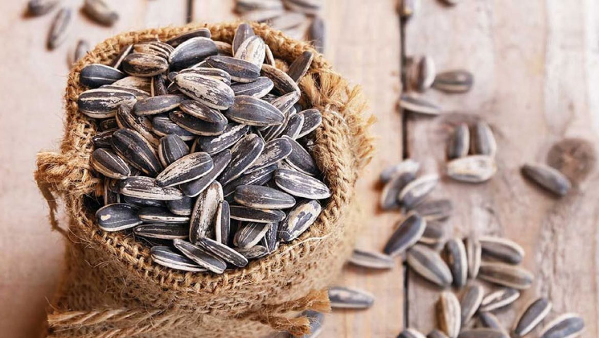 LES GRAINES DE TOURNESOL.