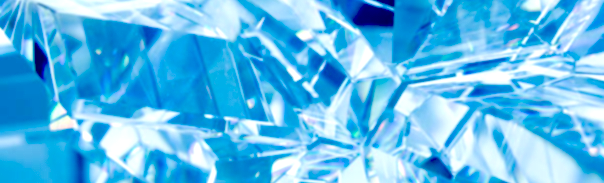 La Garde d'Obsidienne et ses factions