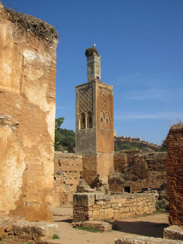 RETOUR A LA NÉCROPOLE DU CHELLAH DE RABAT.