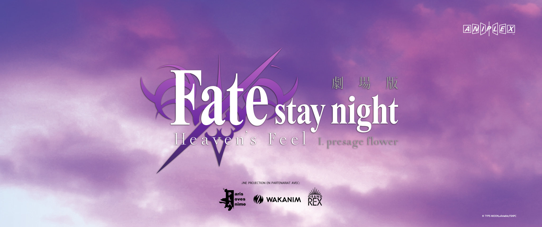 Fate/stay night Heaven’s Feel diffusé au Grand Rex à Paris