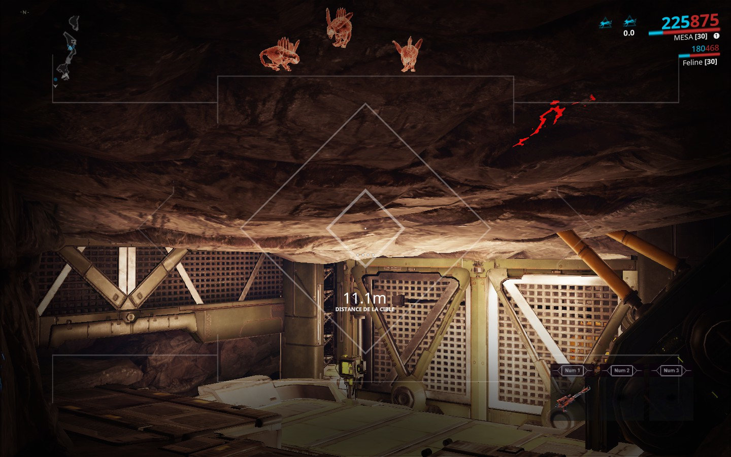 Poe Wild Life Underground Spawning Location General Warframe Forums