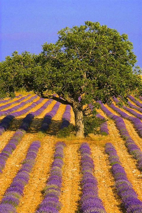 DE BELLES PHOTOS SOUVENIRS.