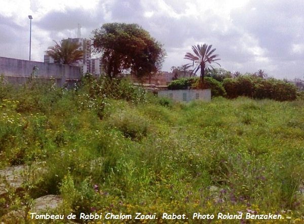 RIBOH-DESCENDANCE-FAMILLE - Page 2