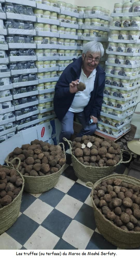 LES TRUFFES ou TERFESS. RECETTE DE TAJINE D'AGNEAU.