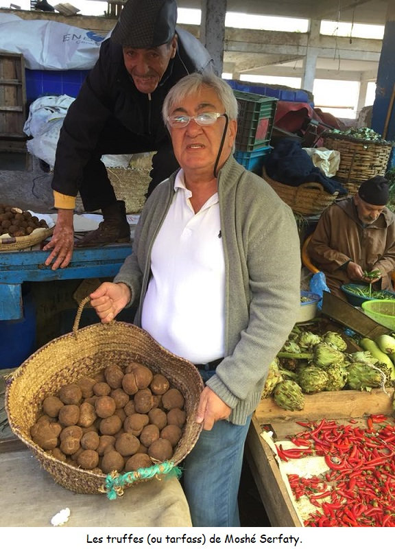 LES TRUFFES ou TERFESS. RECETTE DE TAJINE D'AGNEAU.