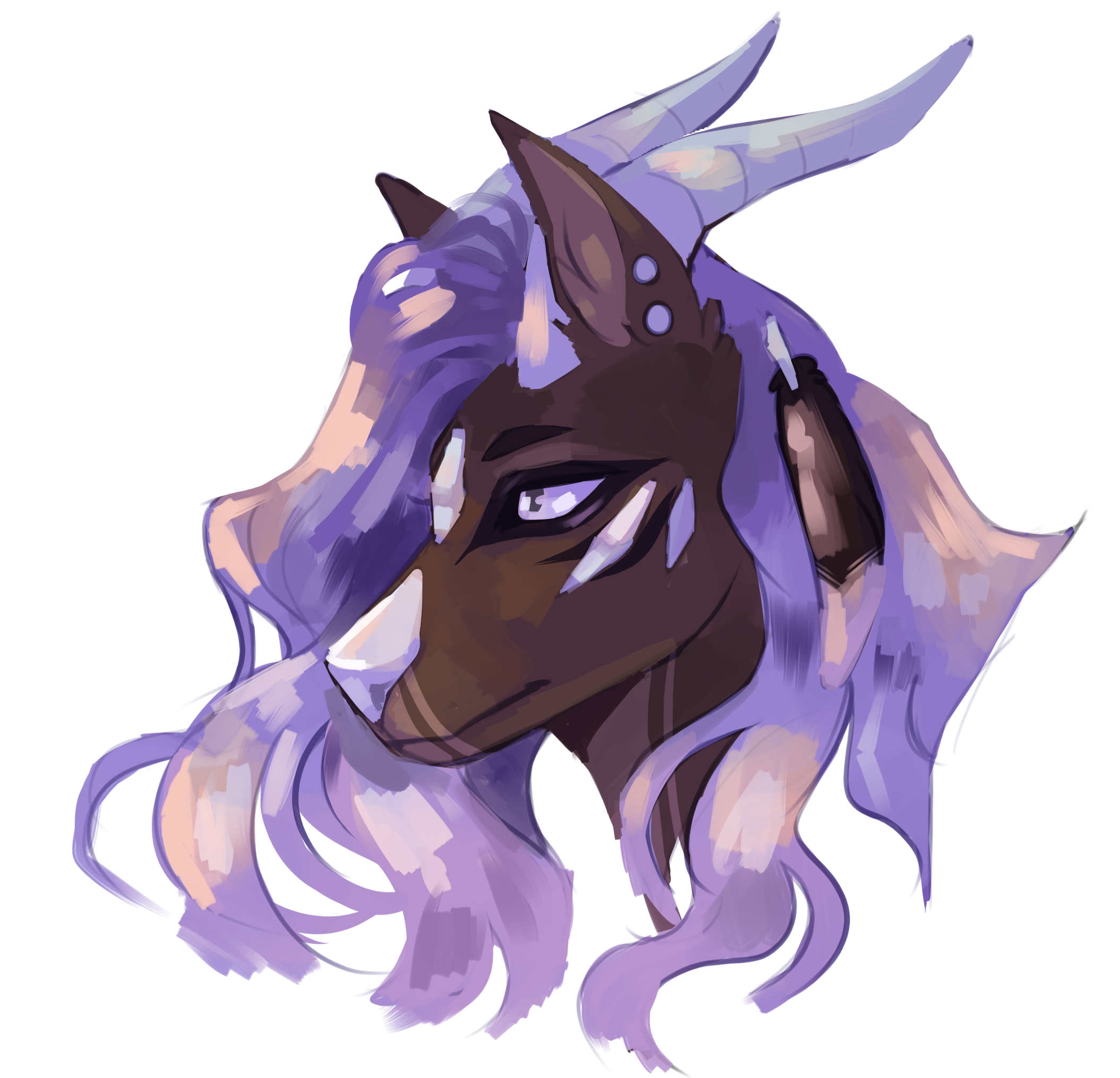 Envies d'ailleurs - Elely