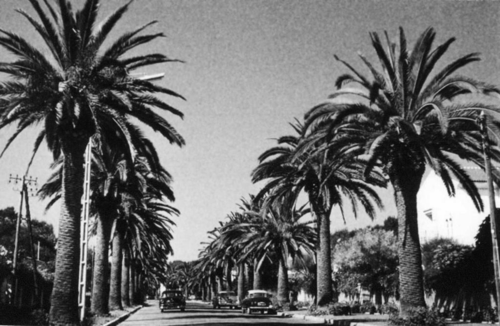 UNE HISTOIRE AU COEUR DE FEDALA. MOHAMMEDIA.