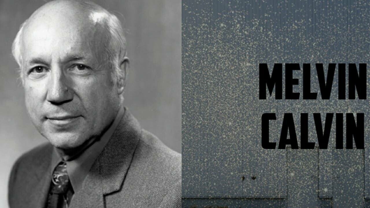 MELVIN CALVIN DECOUVRE "LE CYCLE DE CALVIN". USA.