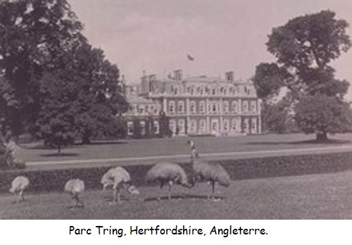 DEMEURES ROTHSCHILD.Parc Tring, Hertfordshire,Angleterre.
