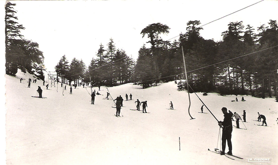 STATION DE SKI A MICHLIFEN-IFRANE. MAROC.