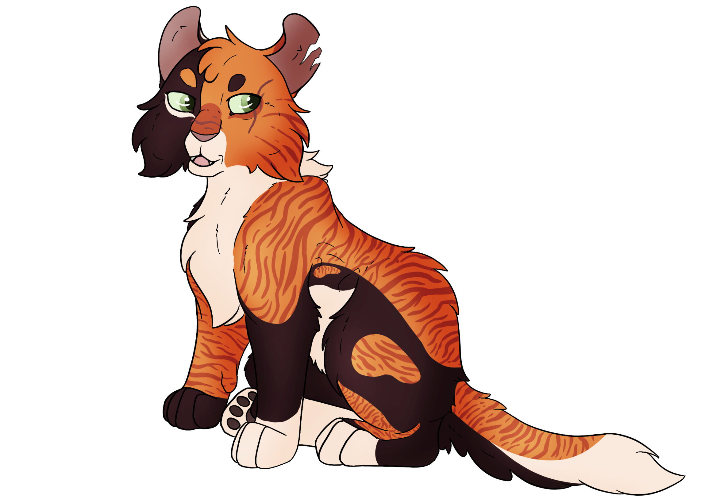 Nuage de Souris, Renard d'Ambre & Nuage Rieur - Carnets