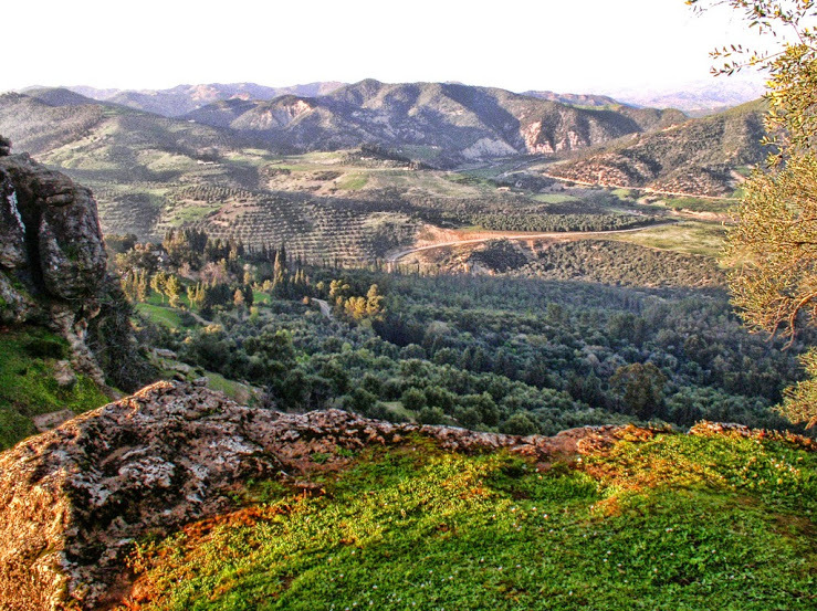 Rhafsai: le pays des jbalas - Montagnes du Rif. Maroc.