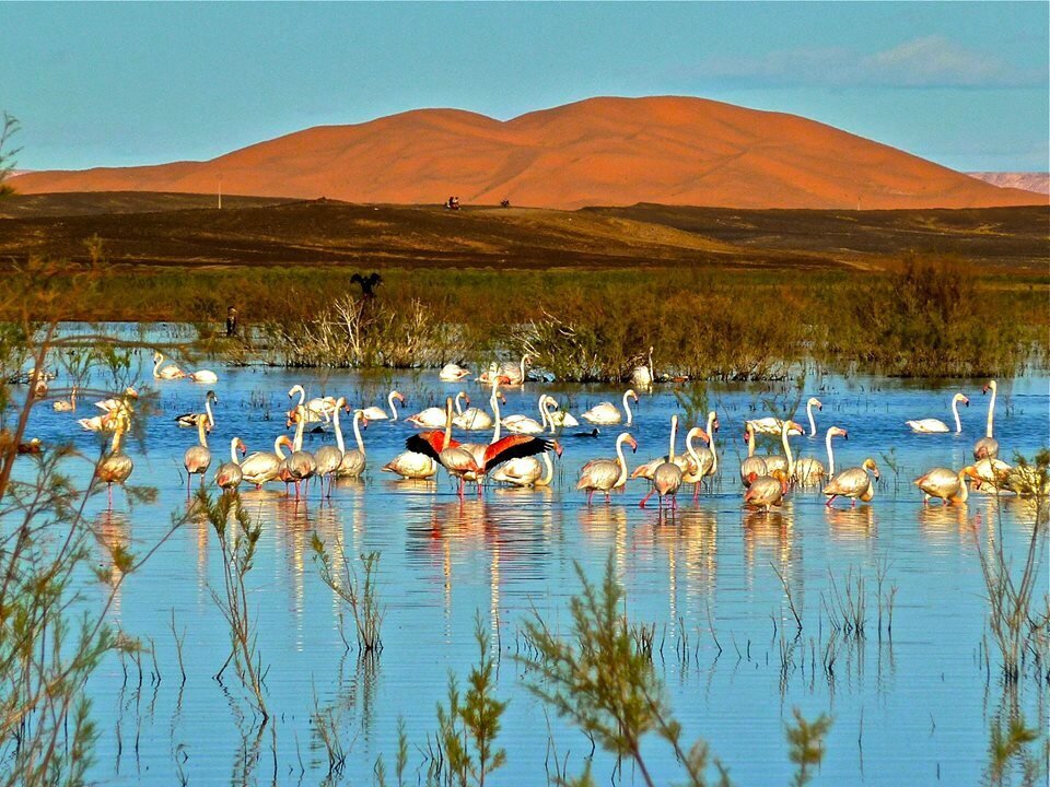 LE LAC DAYET SRIJ. MAROC.