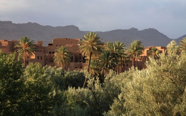 TINEJDAD. OASIS AU MAROC.